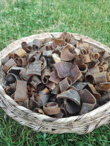 AKPAMA/ KPLO/ PEAU DE BOEUF – Togo éxotique